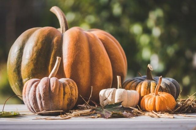 This Fall, Fall in Love with Pumpkins | Nutrition and Diabetes ...
